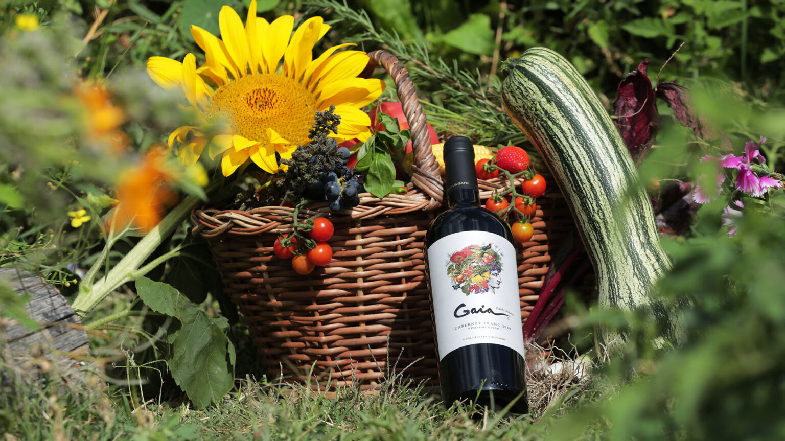 Gaia Restaurant – Gaia Experience