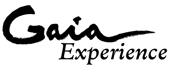 Gaia Restaurant – Gaia Experience